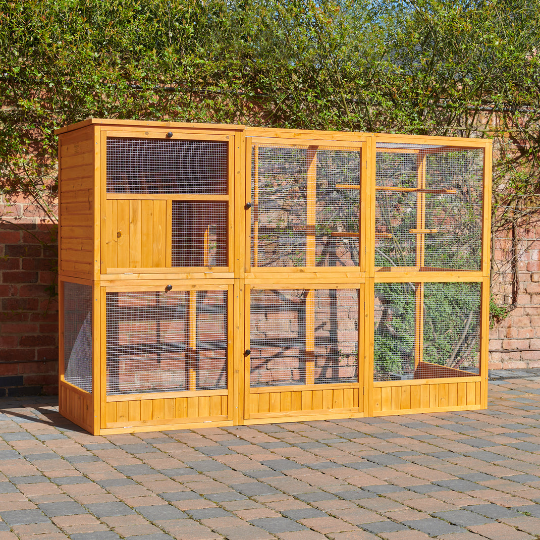 What make a good garden aviary? – Feel Good UK