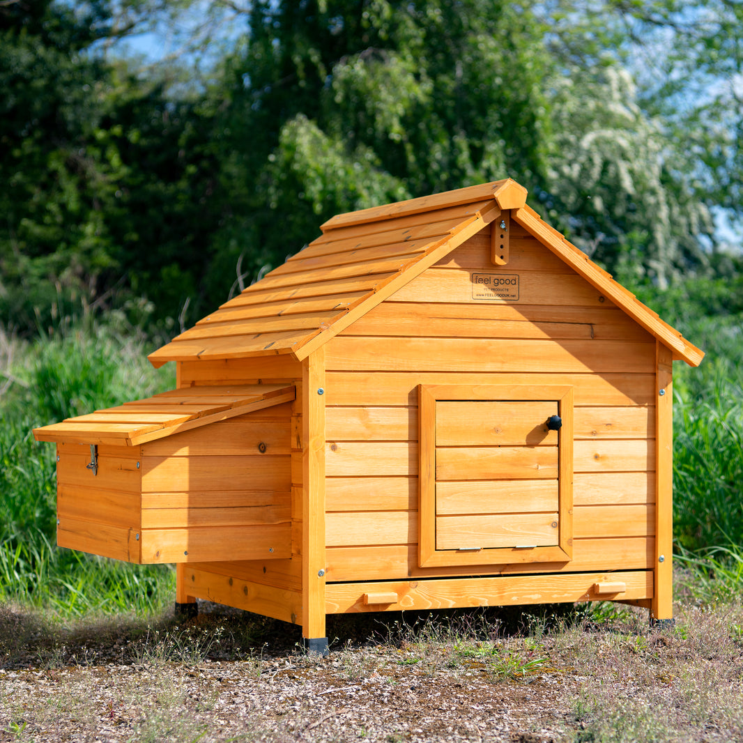 Large Chicken Coops & Runs | Hen Home Run | Feel Good UK